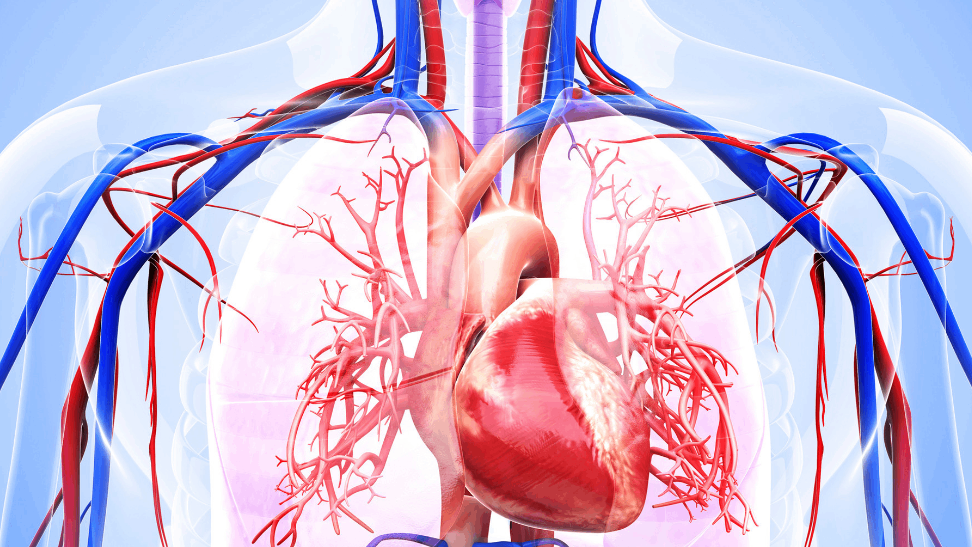 บริการทดสอบฤทธิ์ยับยั้งการทำงานของ ACE1 (Anti-ACE1) ที่มีผลต่อความดันเลือด