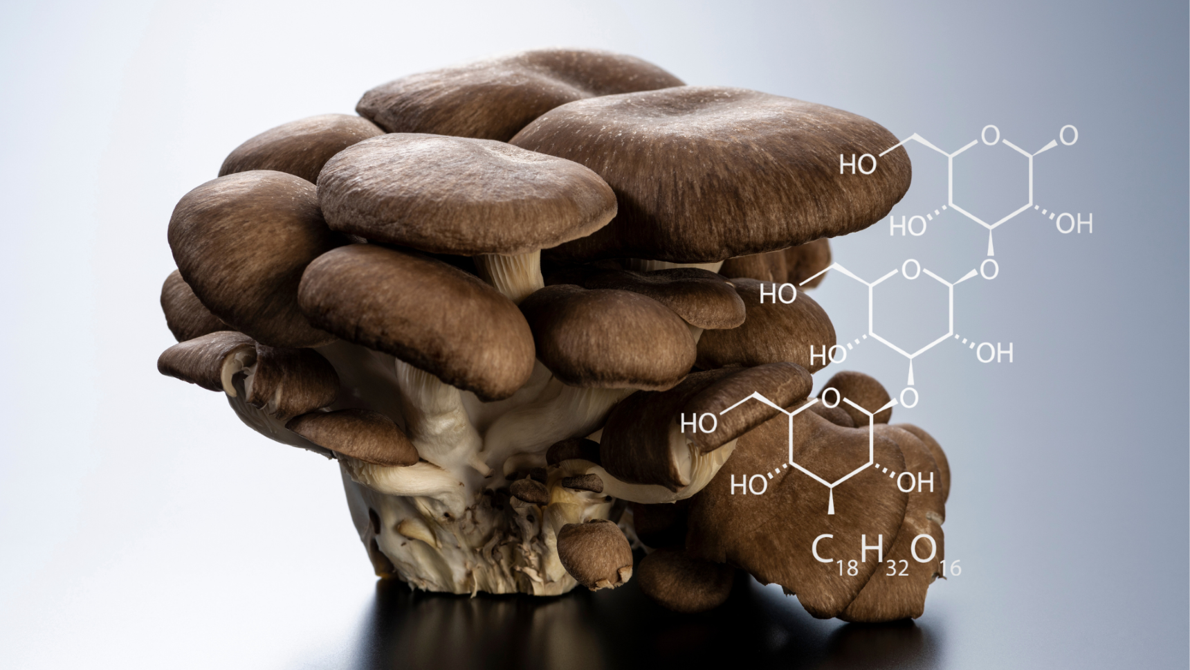 Service For Analyzing The Quantity Of Beta-Glucan(1,3:1,6-β-GLUCAN)