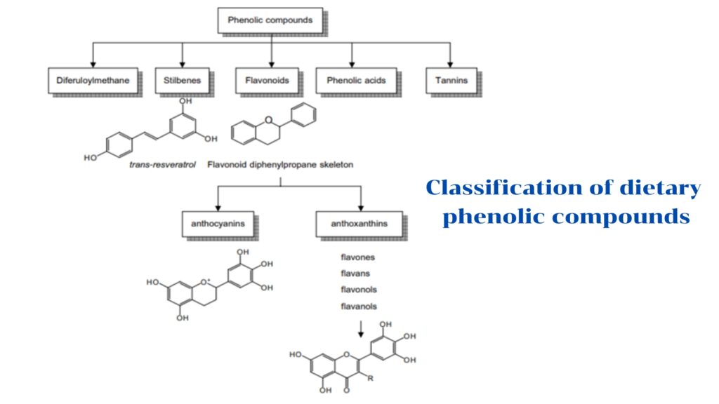 บริการทดสอบปริมาณสารฟีโนลิกทั้งหมด (Total Phenolic Content, TPC)