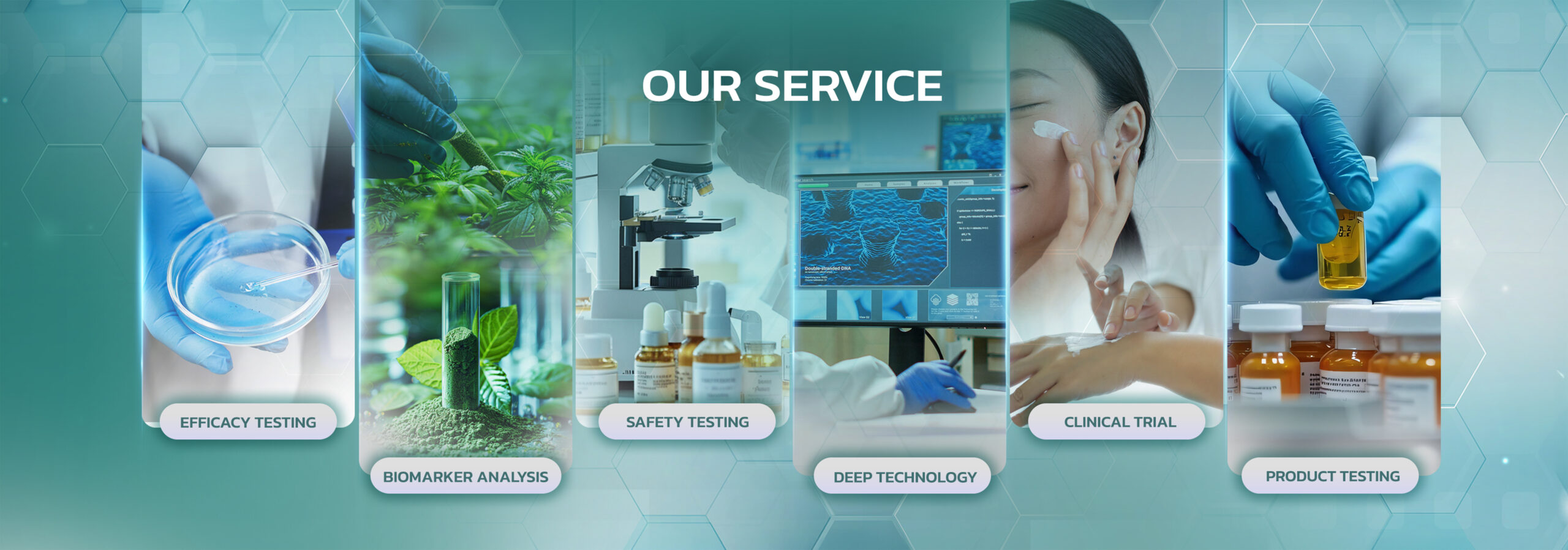 บริการวิเคราะห์องค์ประกอบชีวภาพ,ประสิทธิภาพและความปลอดภัยของผลิตภัณฑ์ - VISBIO